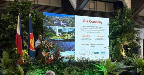 EDC’s BINHI Project Brings Forests, Wildlife Back to Life in Leyte ...